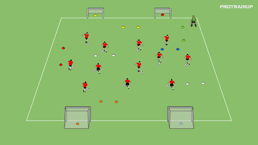 KZM - szybkość reakcji, orientacja przestrzenna, , ball master,